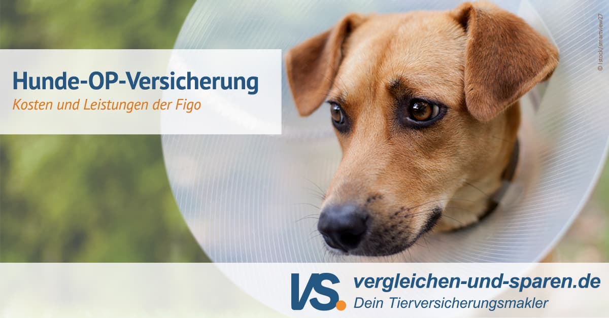 Tier Op Versicherung Vergleich