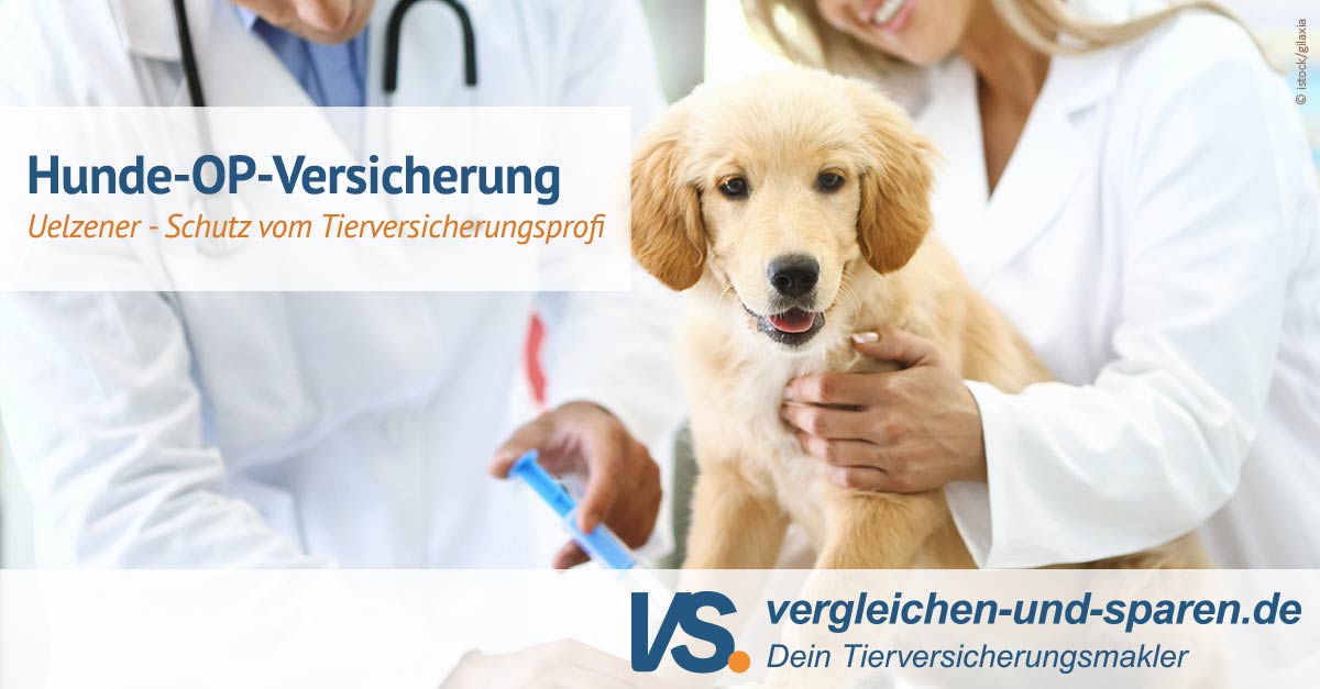 Zahlt Uelzener Op Versicherung Zahnsteinentfernung