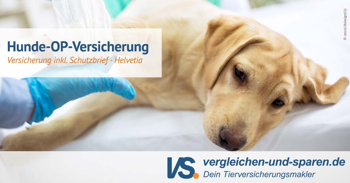 Fabelhafte Hunde Op Versicherung Nachtraglich Bilder