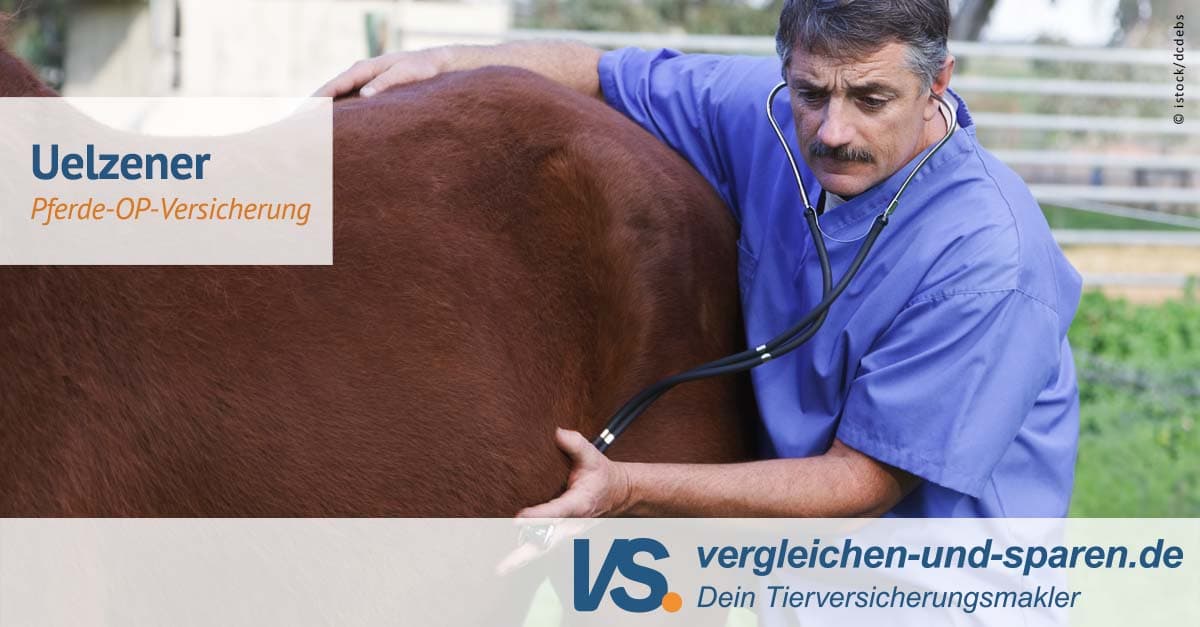 Uelzener Op Versicherung Pferd Premium Leistungen