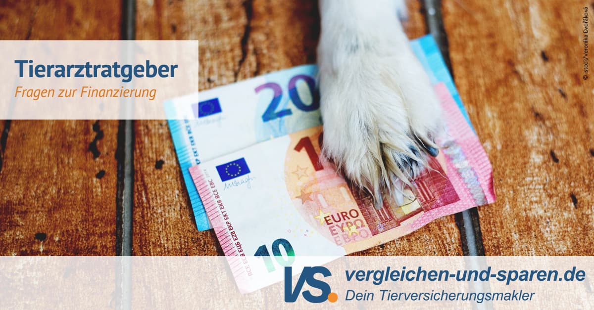 Spannende Tierarzt Versicherung Hund Ebenbild